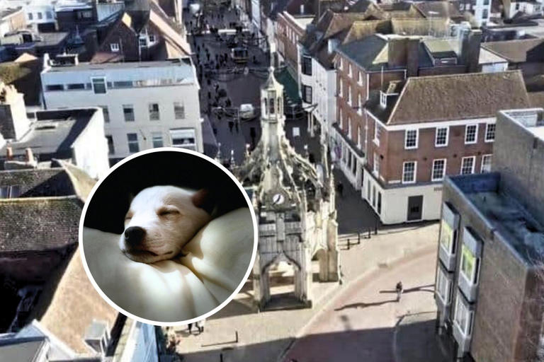 Sussex: Doctor shares sleep tips as hot weather continues across country
