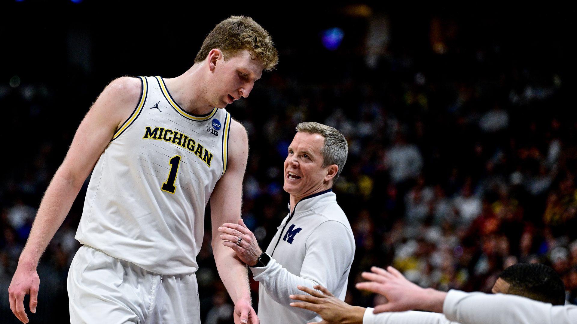 Danny Wolf’s success gives Michigan hope for the future under Dusty May