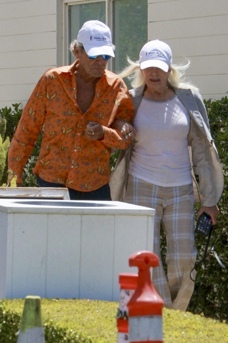 Alan Hamel, 88, confirms romance with late wife Suzanne Somers’ co-star ...