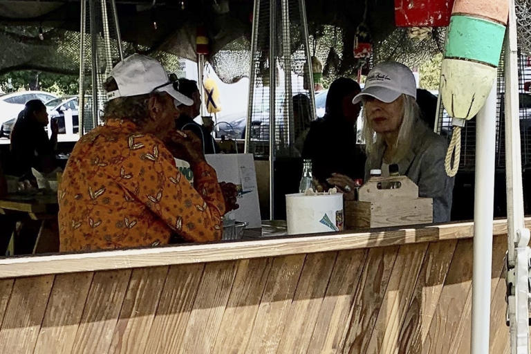 Alan Hamel, 88, confirms romance with late wife Suzanne Somers’ co-star ...