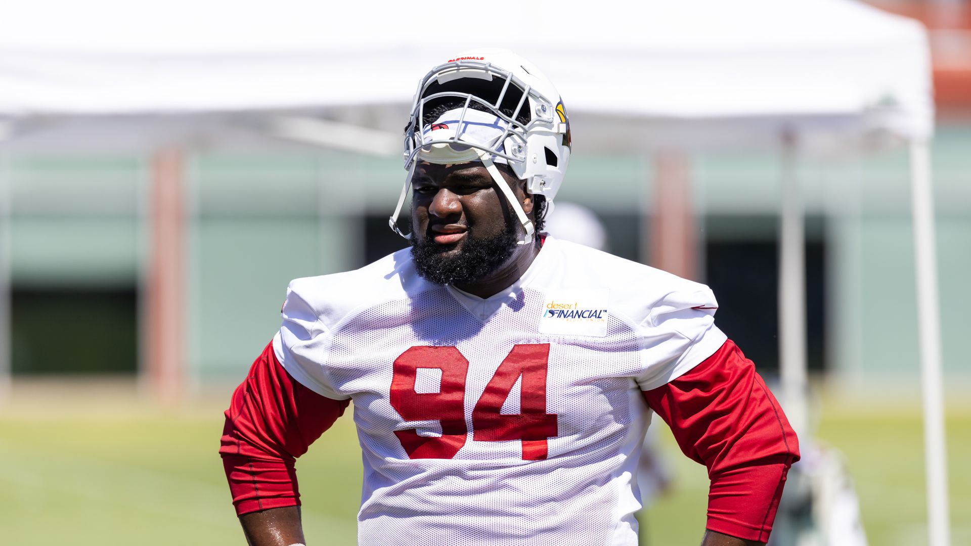 Arizona Cardinals see boost in NFL defensive line rankings after offseason