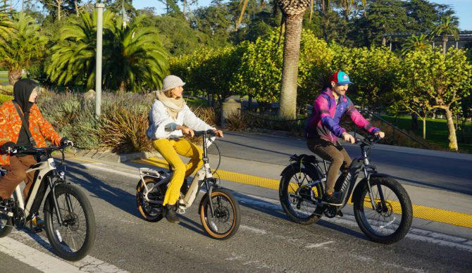 The Best Fat Tire Electric Bikes of 2025