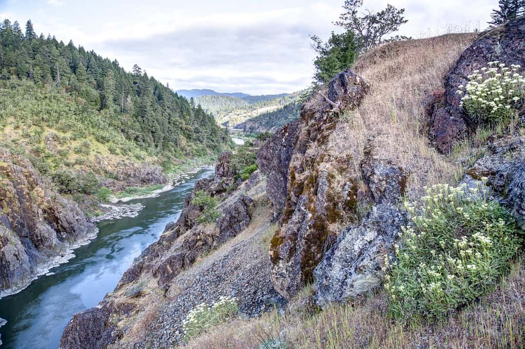Your Guide to the Rogue River: Rafting, Dining, Resorts, and More