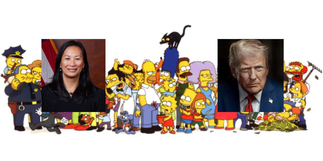 Judge Cites Simpsons Episode In Ruling Against Trump Affecting 14 States