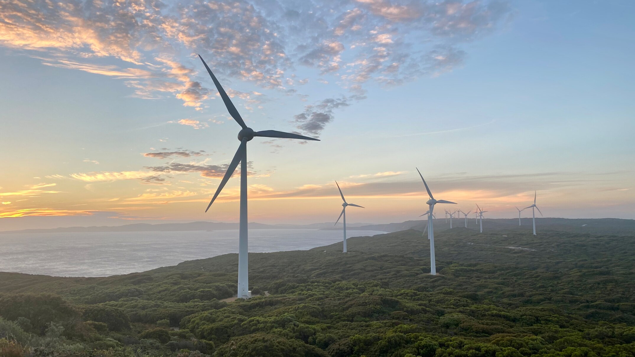 Albany Grasmere Wind Farm's future on the table as it nears its end-of-life