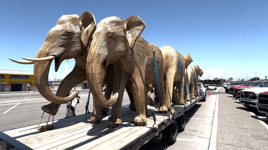 The Great Elephant Migration arrives in Las Vegas carrying 100 life ...