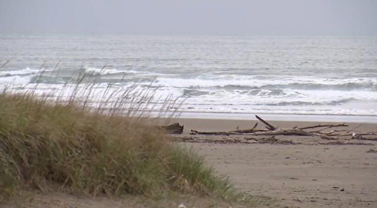 Advisory issued for Newport Beach due to high bacteria levels in ocean ...