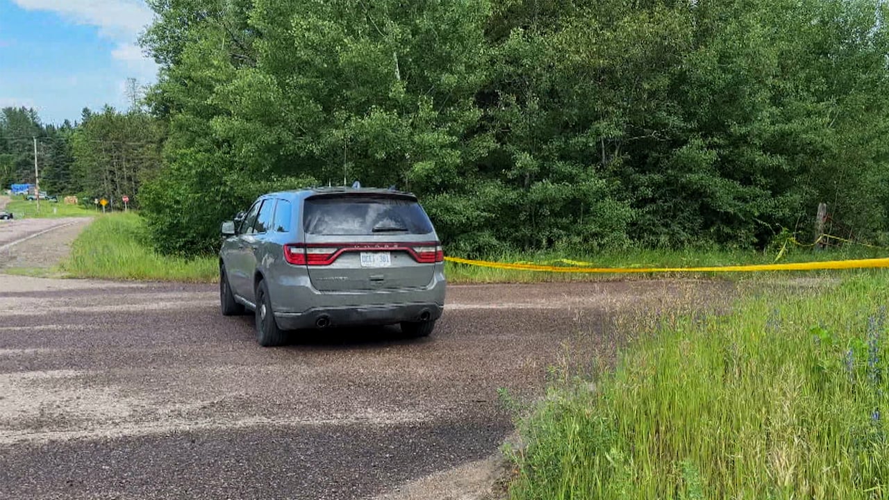 Ottawa Valley girl seriously injured in suspected animal attack