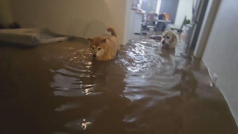 Frustration grows as San Antonio residents await response from city on ...