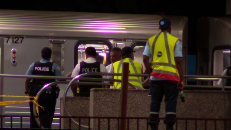 Person stabbed to death on Blue Line train close to O'Hare
