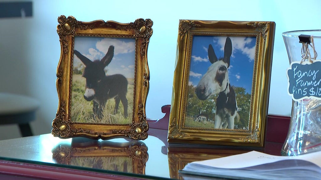 At this small town Minnesota cafe, donkeys are the main attraction