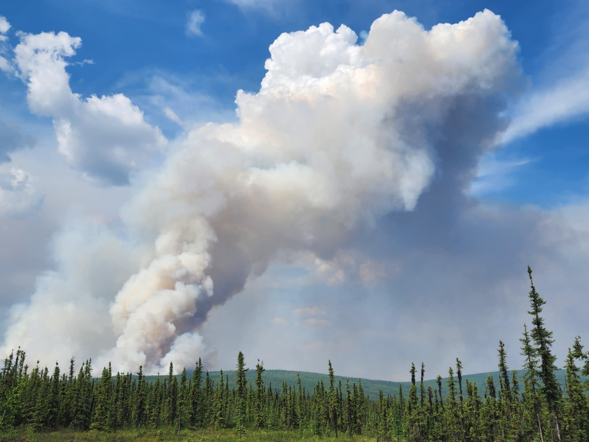 Alaska's largest wildfires of year rage after 31,000 lightning strikes ...