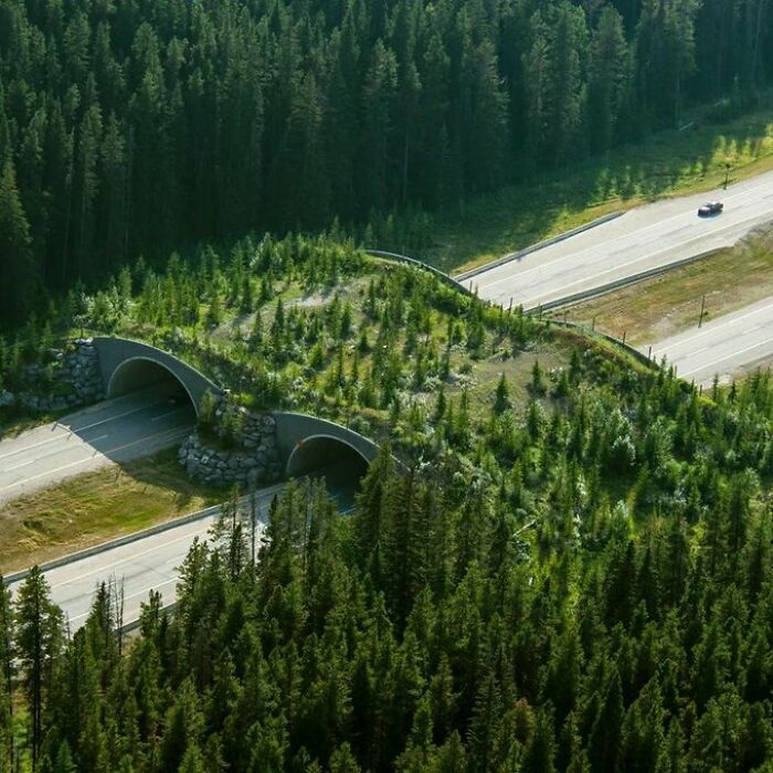 40 New Pics That Show The Beauty Of Well-Planned Infrastructure, As ...