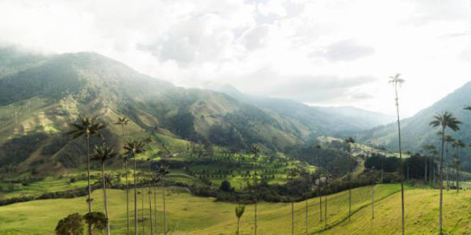 Las 4 mejores cafeterías del eje cafetero colombiano, según la IA ...