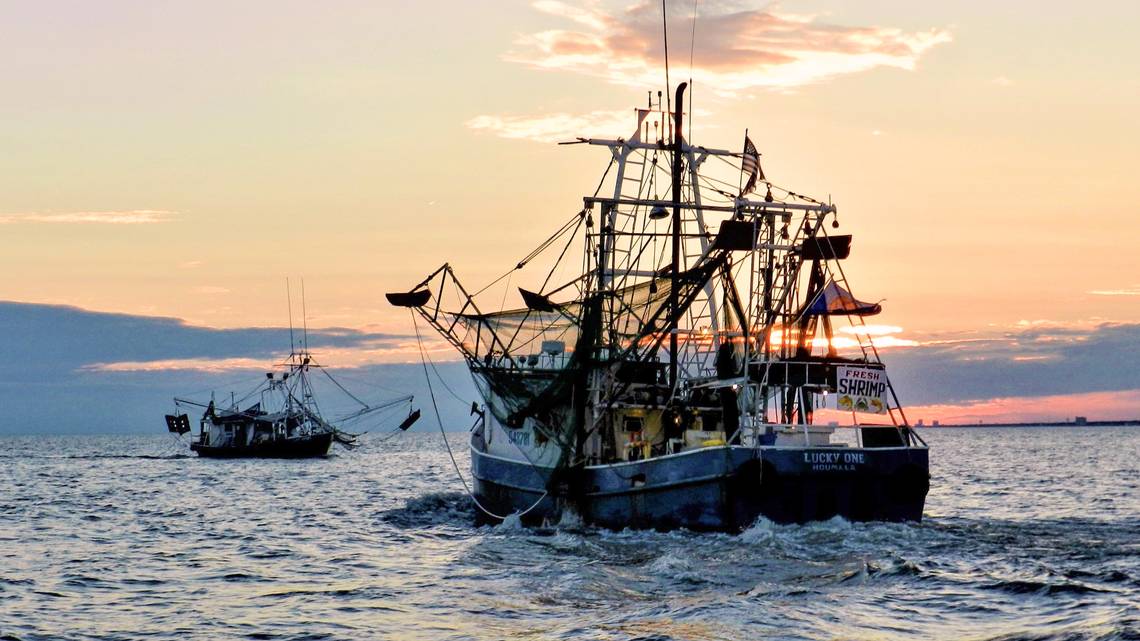 What is shrimp trawling? NC commercial fisherman explains the ...