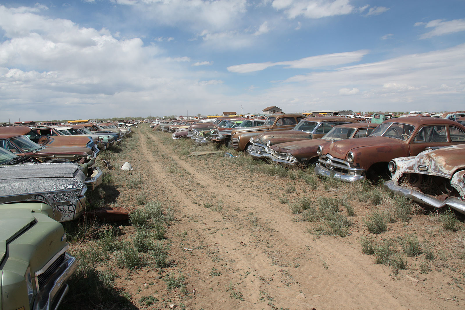 Junkyard Gems of Ernest Auto Wrecking, La Jara, Colorado