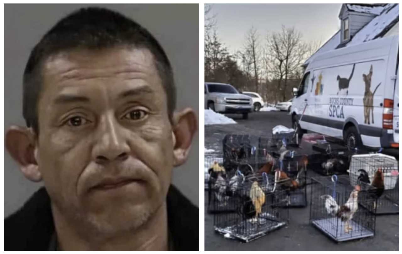 Manfid Duran Sentenced For Bucks Cockfighting, Drug Ring