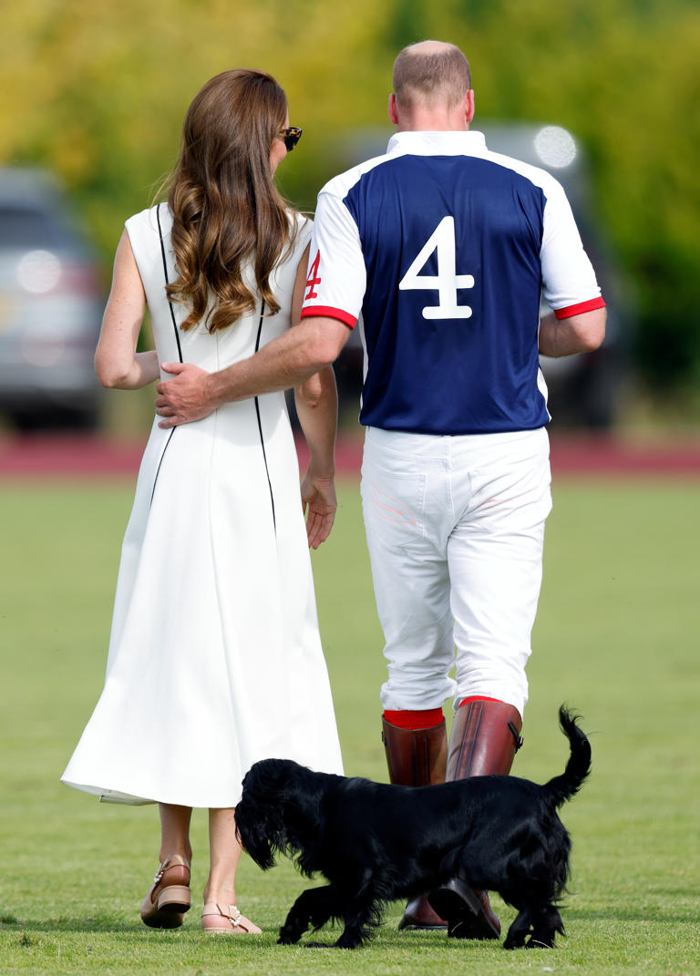 Royal fans discover Prince William and Princess Kate have a new dog ...