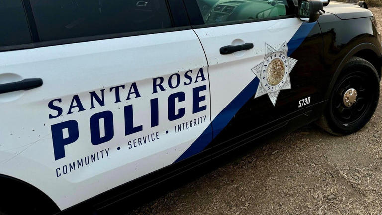 1 dead, 1 injured from fallen tree branches in Santa Rosa as Bay Area ...