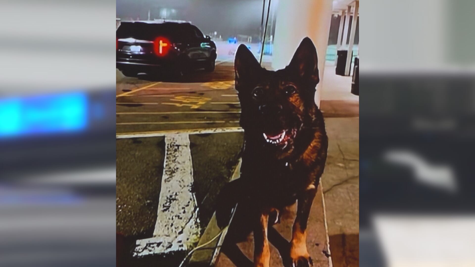‘His life was full’: Retired Rockland Police K9 honored with memorial ...