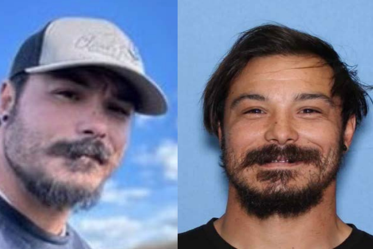 Police end forest search for suspect in child deaths after finding look ...