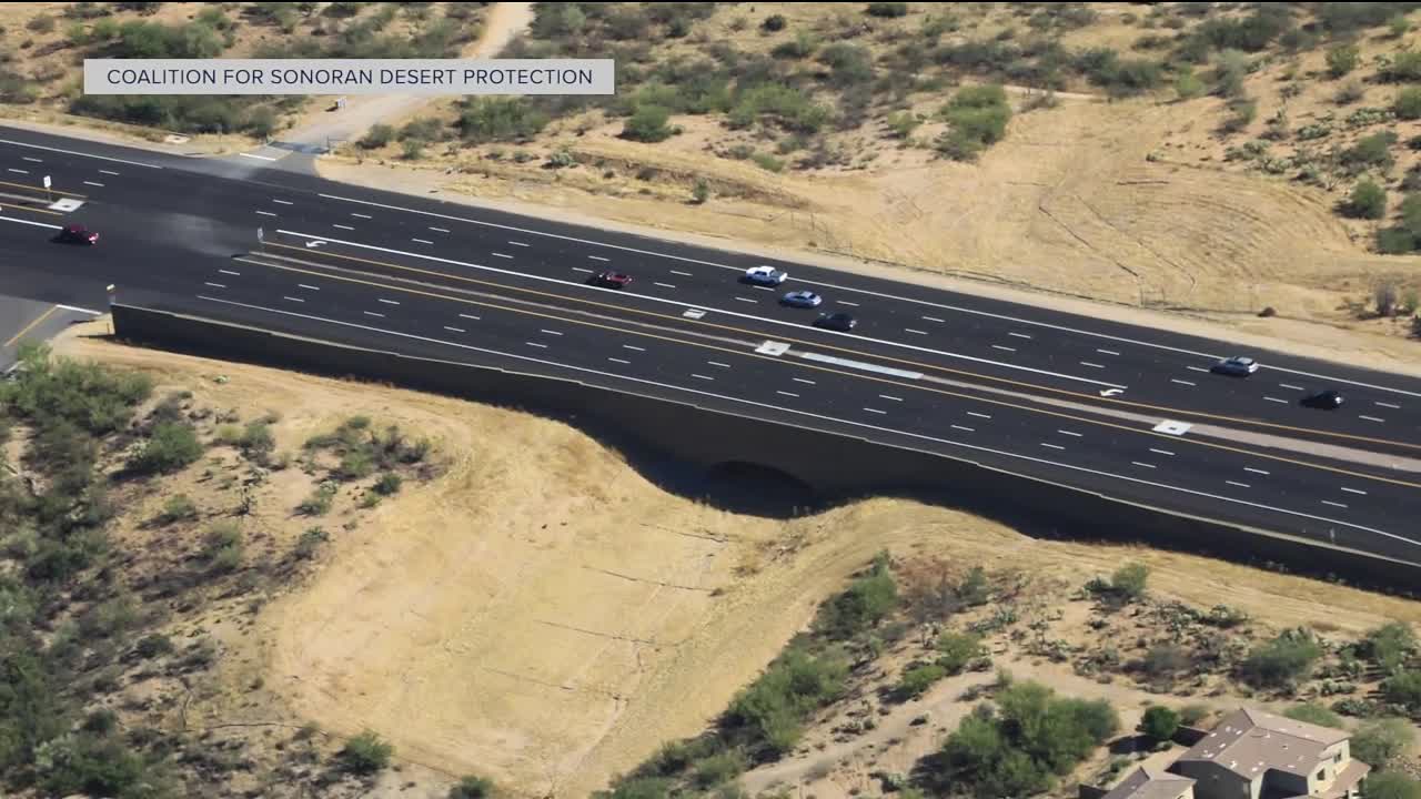 The Ann Day Memorial Wildlife Bridge: Preventing crashes while saving ...