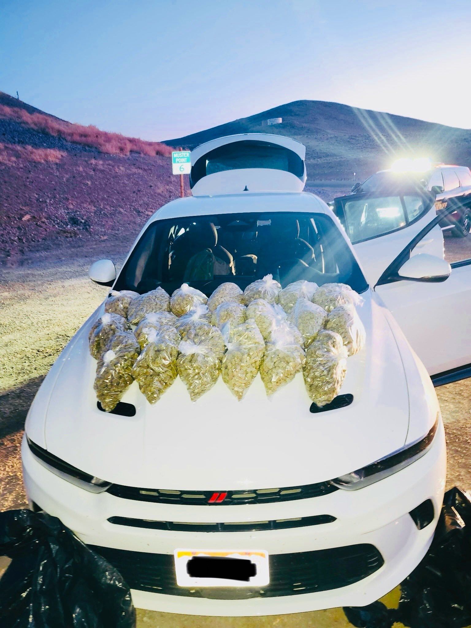 Storey County officers make 200 pound pot bust