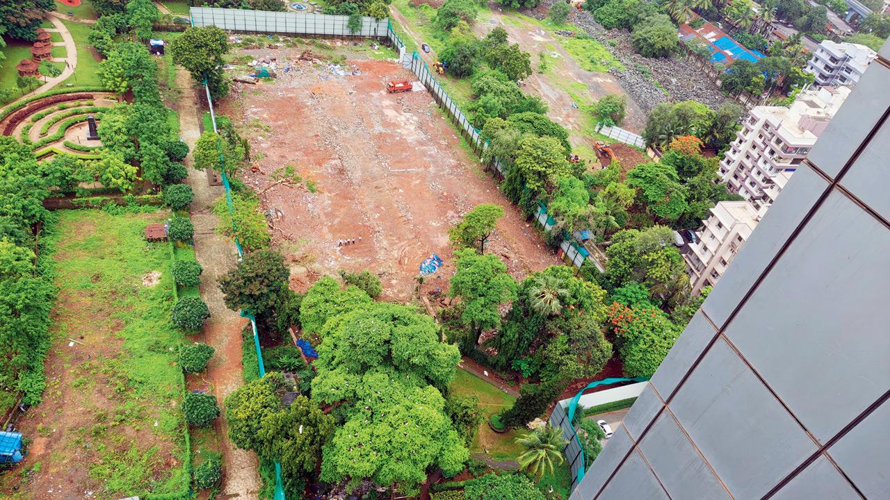 Mumbai: Wadala residents flag bird habitat loss as 48 trees axed