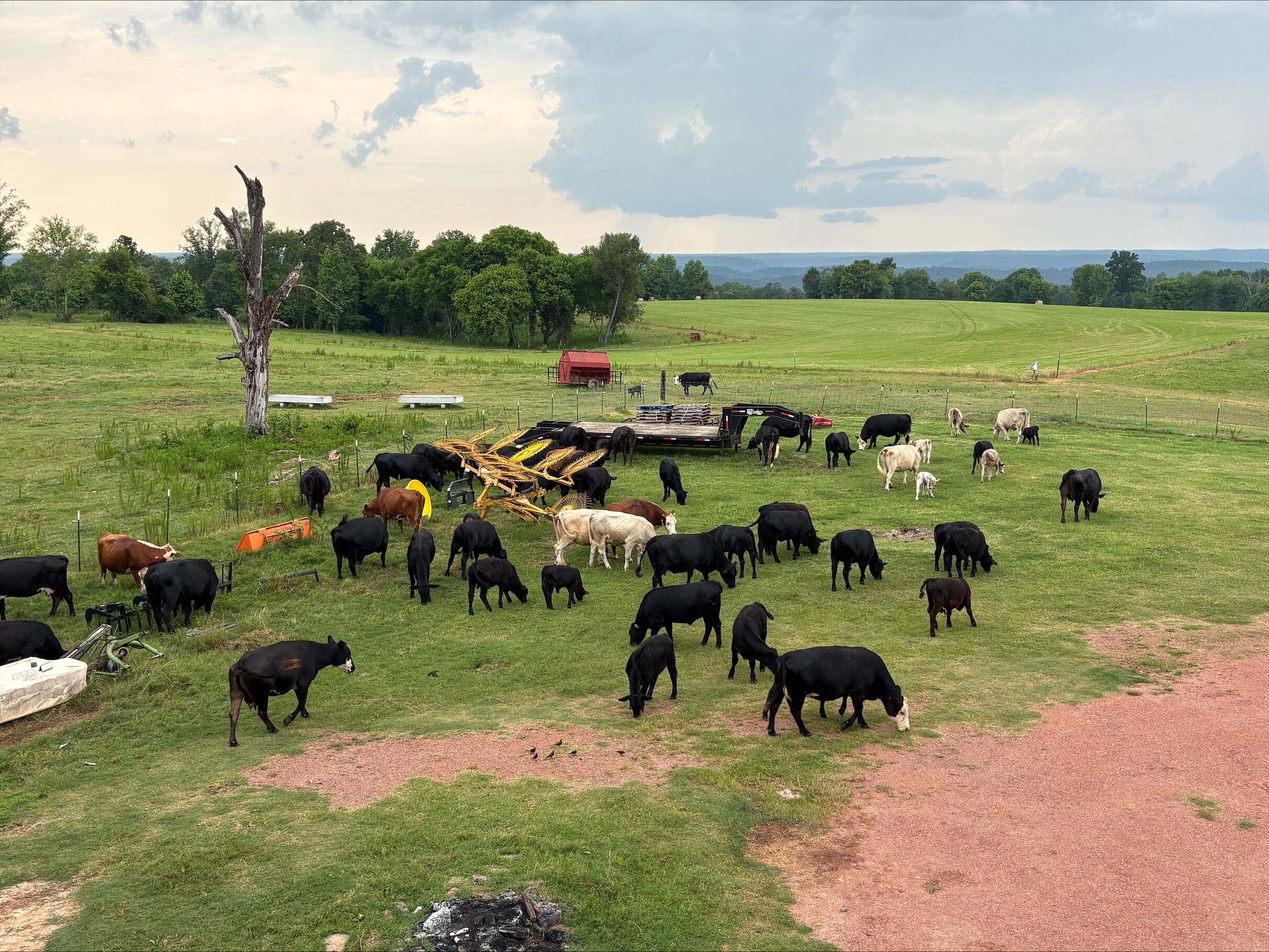 Jefferson County cattle farmer addresses high beef prices