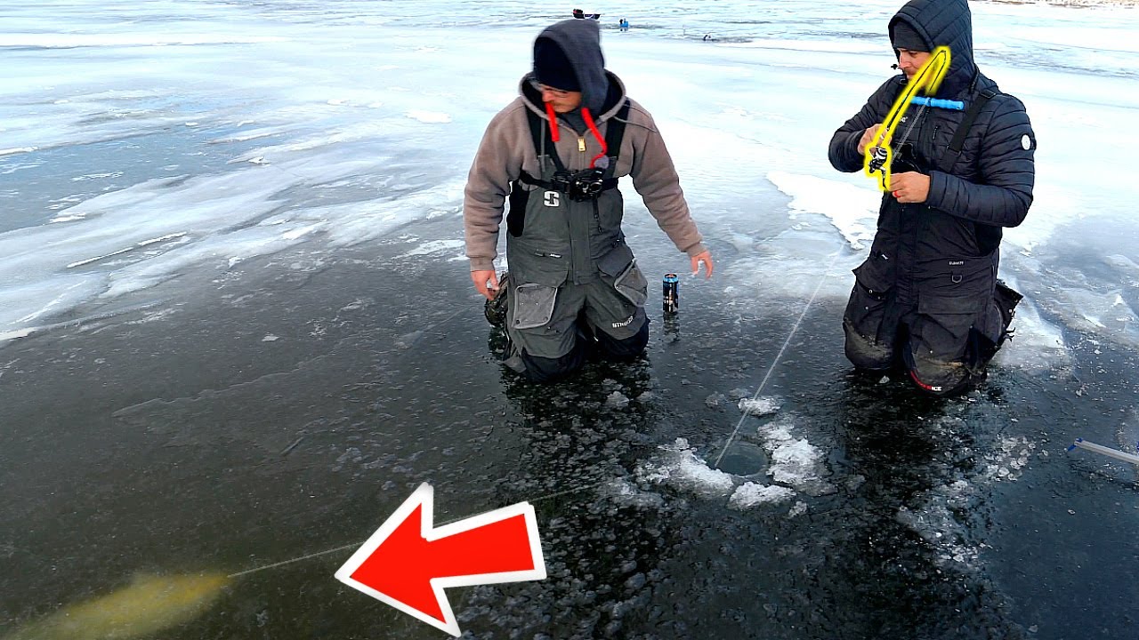 Surprise catch on ultra clear ice reveals new fish species
