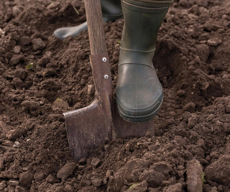 You've heard about it, but do you actually know what topsoil is ...