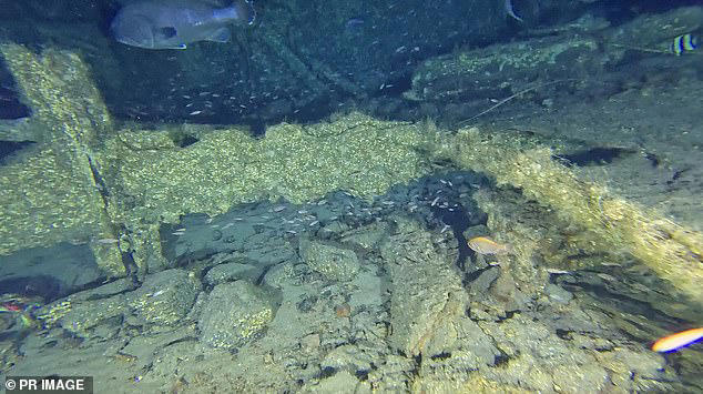 Ship that vanished 120 years ago is explored for the first time