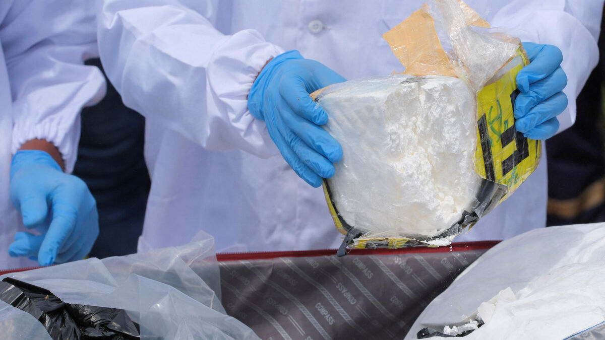 Cocaïne : saisie de 435 kg en Italie pour une valeur de 70 millions d’euros