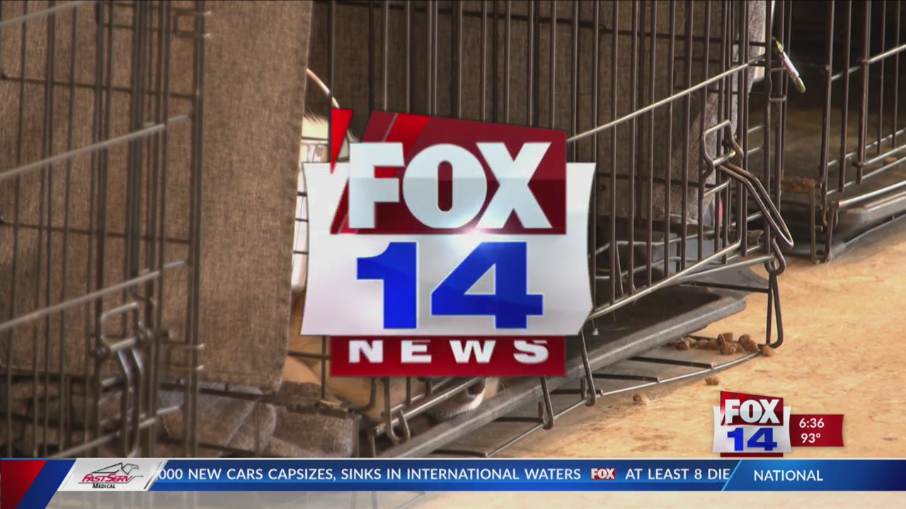 Bayou Kubota offers tips and best practices for safe off-road ...