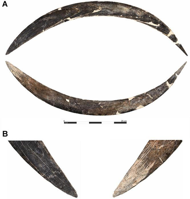 Archaeologists discover what could be world’s oldest boomerang in Europe
