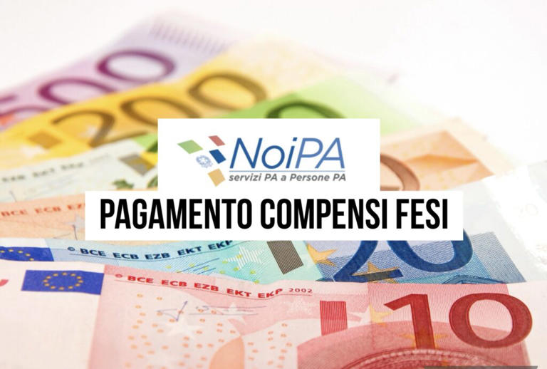 Compensi FESI anticipati a giugno: cedolino straordinario NoiPA per ...