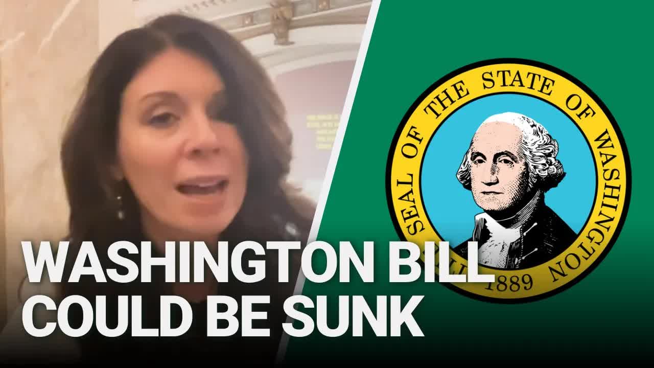 WA Bill to Provide Backup Plan if Bids for Hybrid-Electric Ferries Fail ...