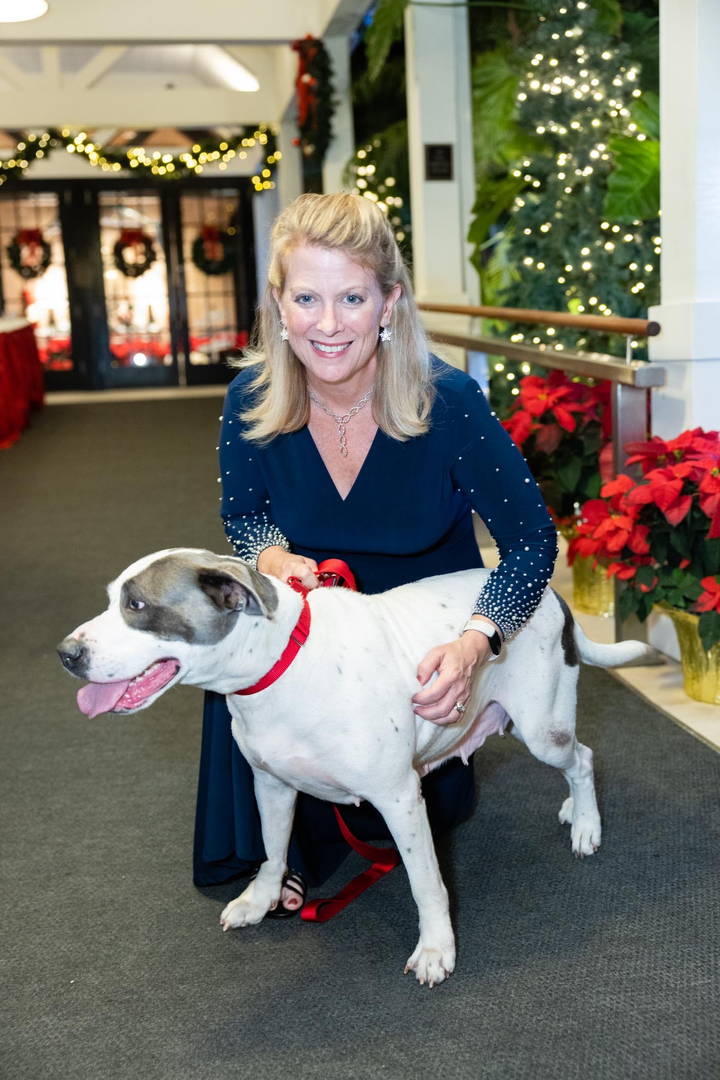 Rescue league went from front porch chat on abandoned pets to state-of ...