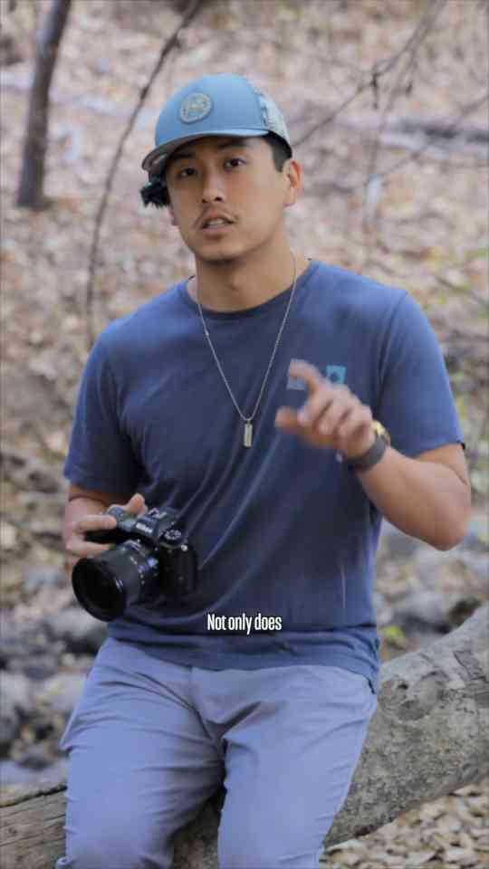 Essential Photography Tips Every Beginner Should Know