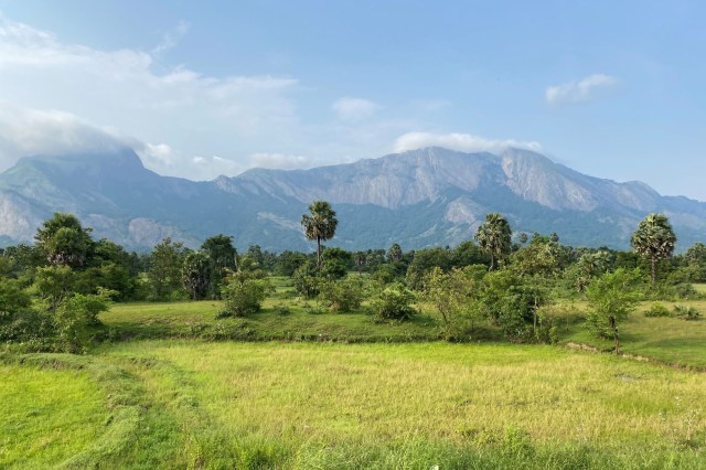 Concerned bird-watchers raise red flags after observing alarming shift ...