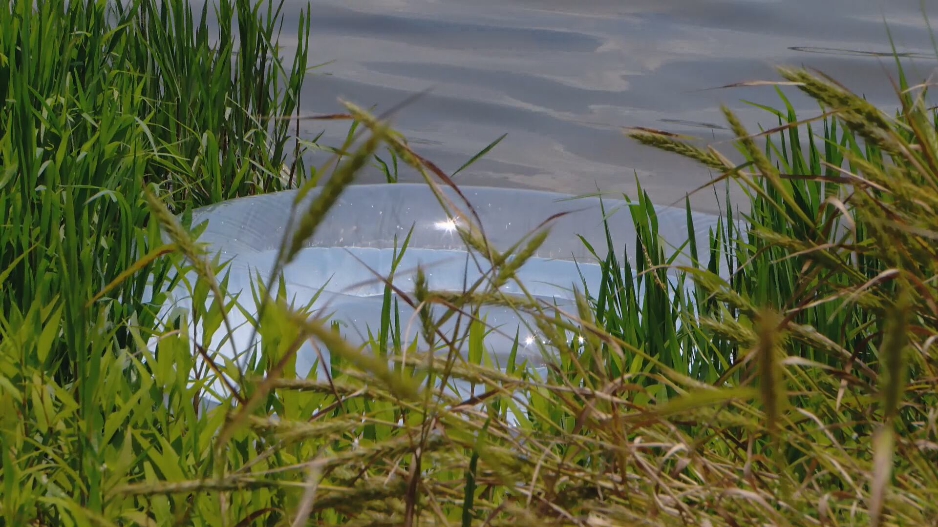 5-year-old dies after drowning at Percy Priest Lake