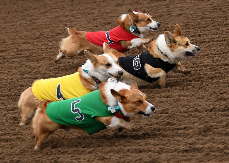 Who's on stage at Delaware State Fair? Here's your entertainment preview