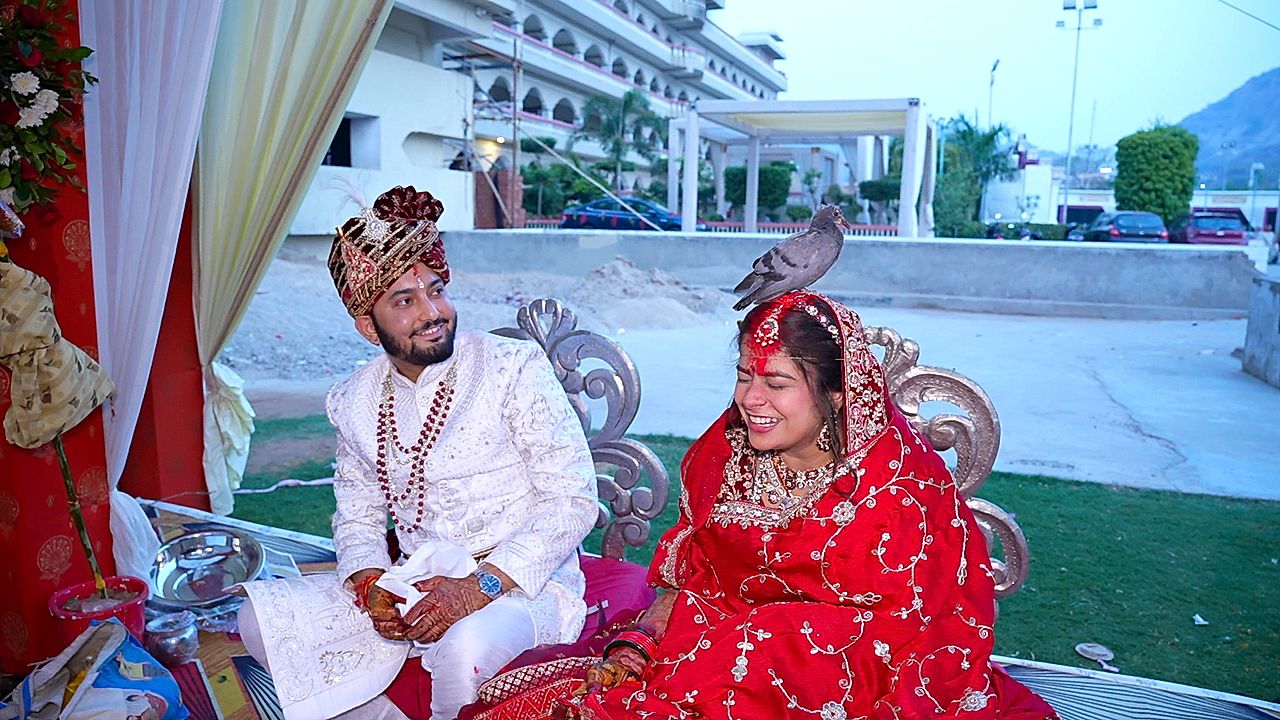 Pigeon sits on bride's head during wedding in India