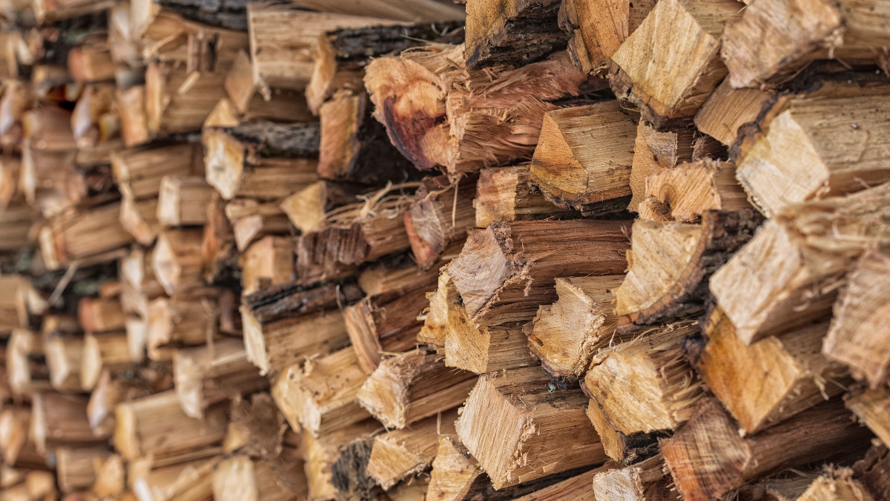 The Best Firewood Types That Actually Burn Clean and Hot