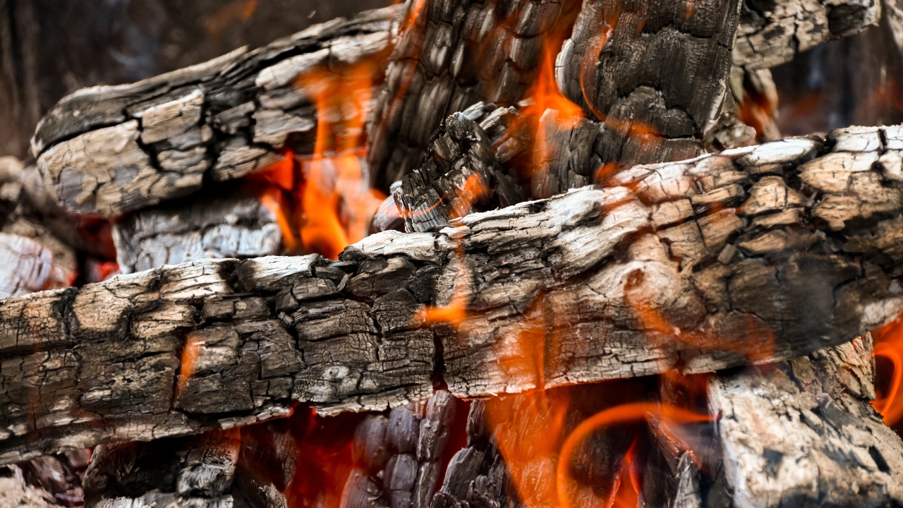 The Best Firewood Types That Actually Burn Clean and Hot