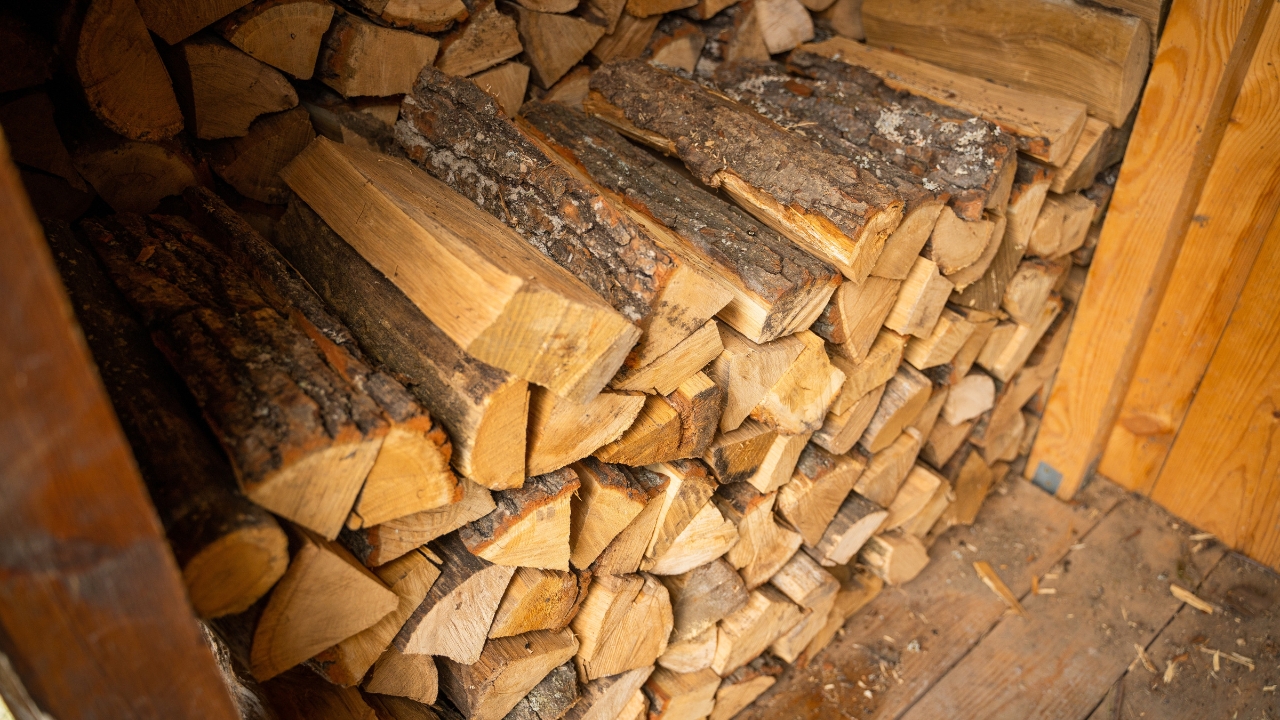 The Best Firewood Types That Actually Burn Clean and Hot