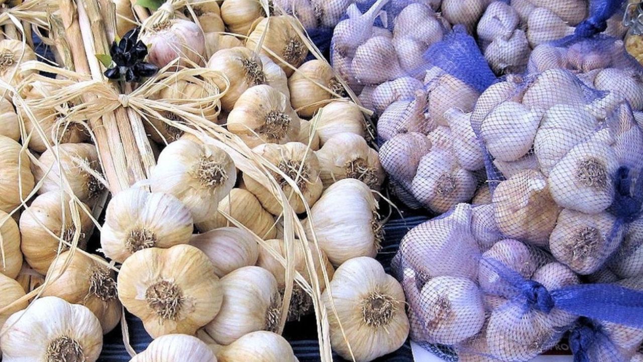 Why the World’s Largest Garlic Festival Is a Must-Visit for Food Lovers