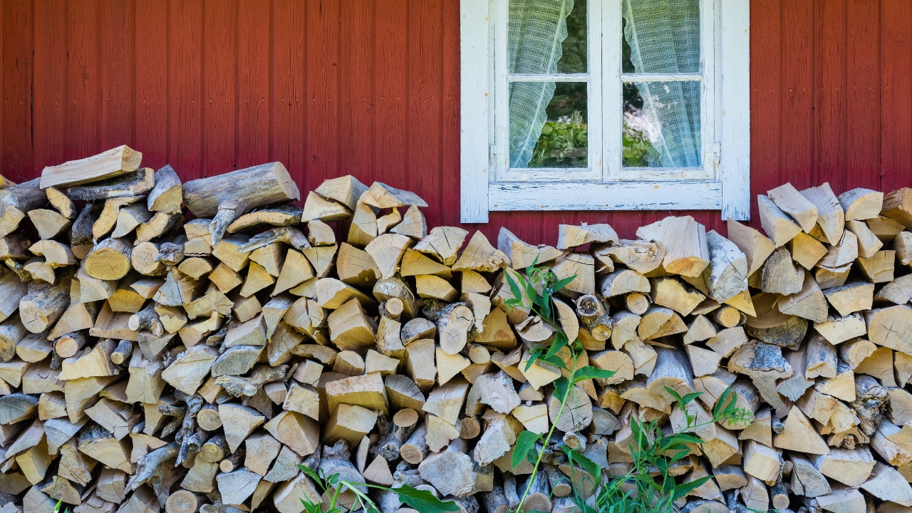 6 Places You Shouldn’t Store Firewood
