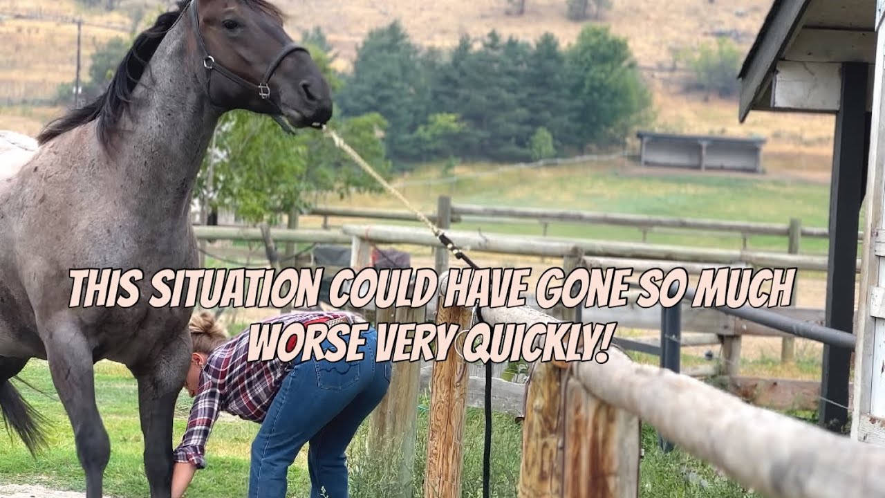 This Is Why You ALWAYS Stay Aware of Your Surroundings When You’re ...