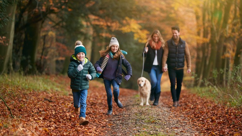 The Best Time Of Day To Take A Walk, According To Science